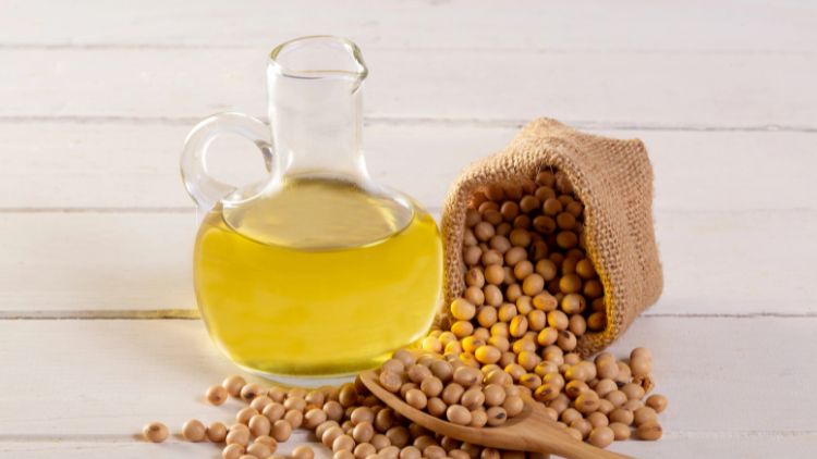 New Study Links Favorite American Cooking Oil To Rising Obesity Rates